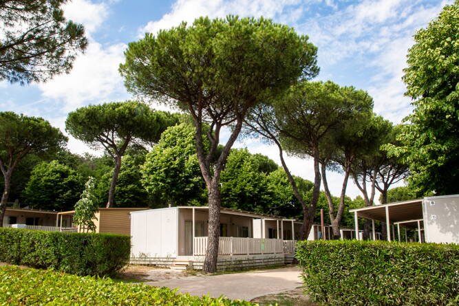 Camping Hu I Pini Village - Fiano Romano, Lazio, Italia | Homair