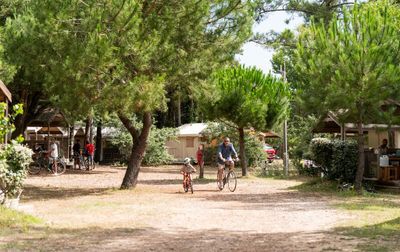 Campsite La Côte Sauvage - Ars-en-Ré